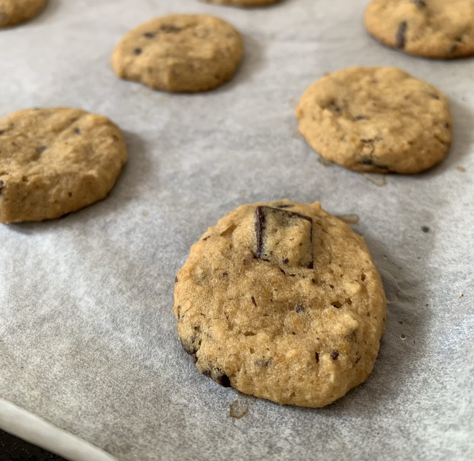 Kekszek - Dodo Bakes